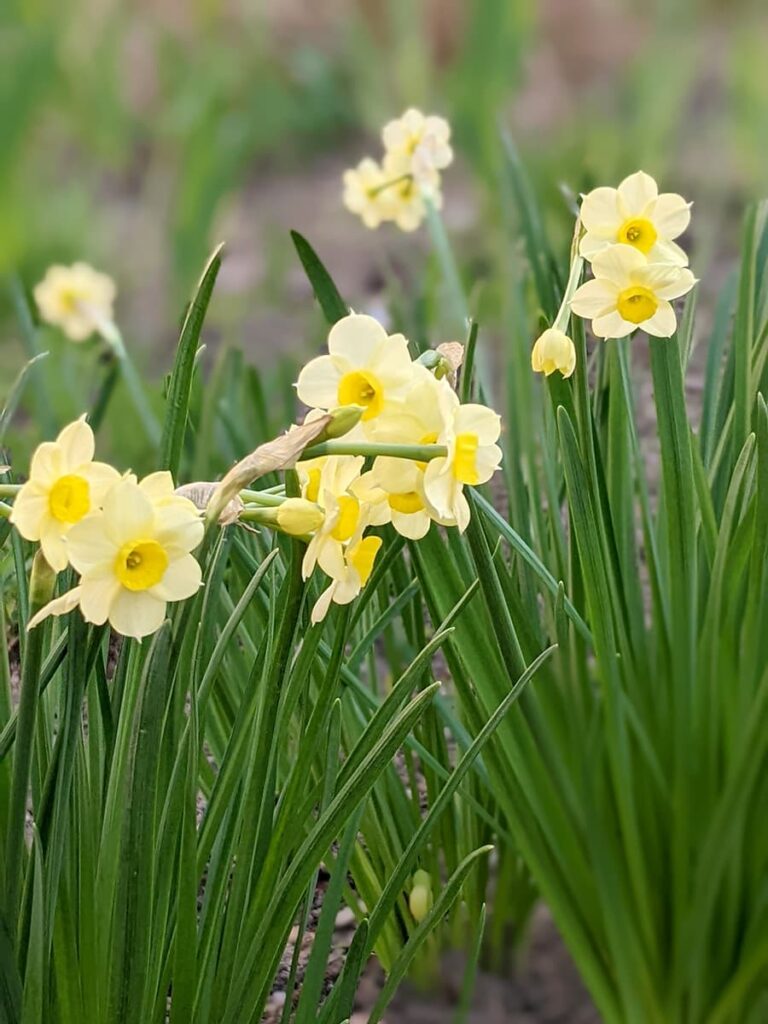 Budapest In March: Weather, Events And What To Do