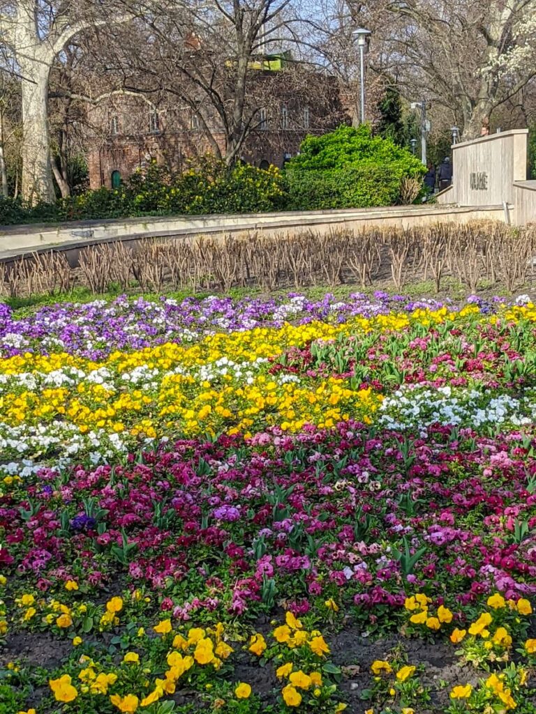 Budapest In March: Weather, Events And What To Do