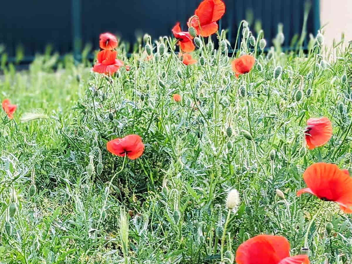 Budapest In April: Weather, What To Pack And What To Do